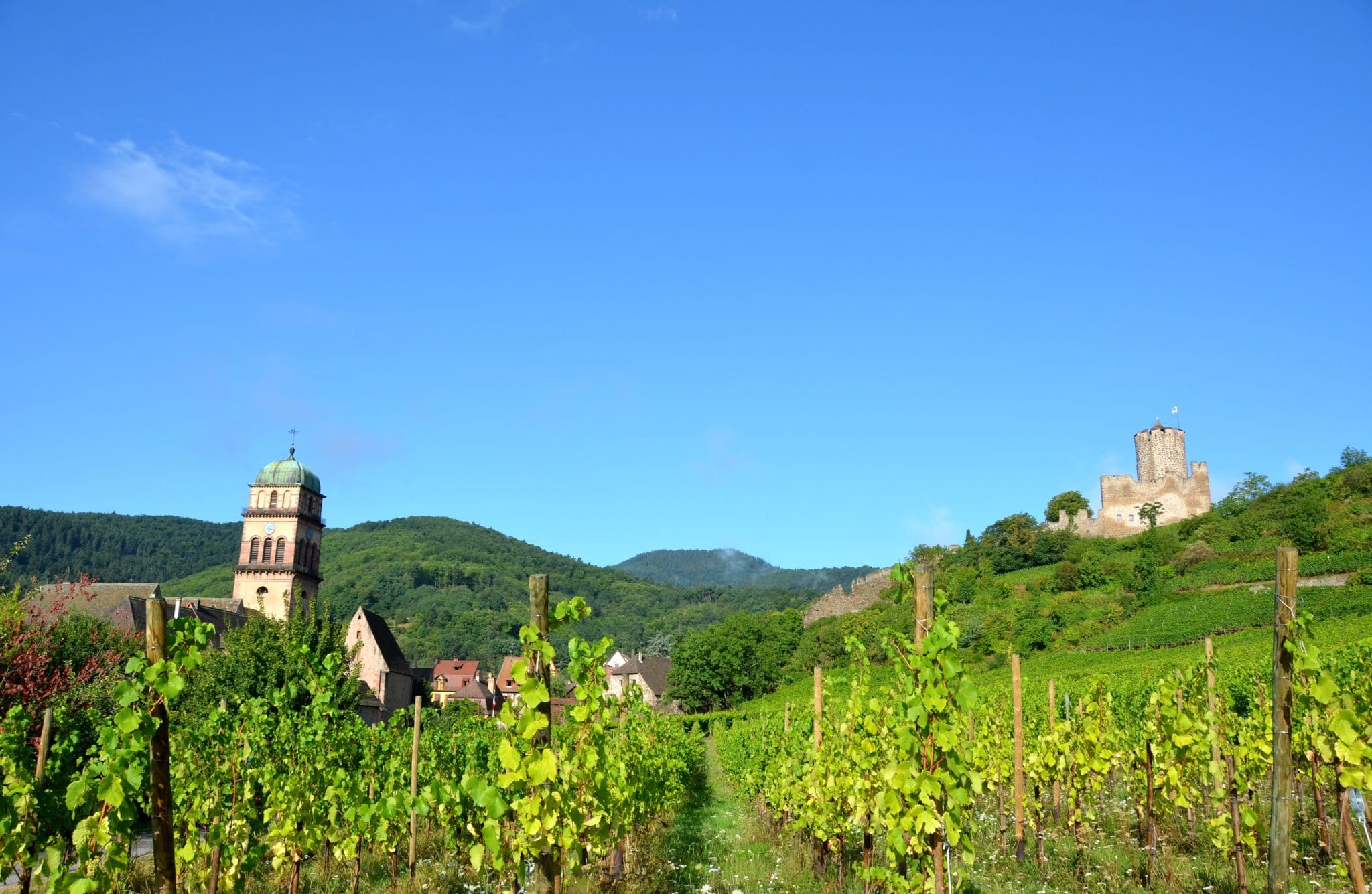 Gourmet hiking in the Kaysersberg Valley - Europ'Aventure